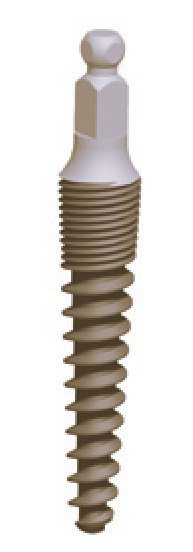 Champions Implants Ball-Head Dental Implant | SpotImplant