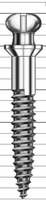 Dentatus Atlas Dental Implant | SpotImplant