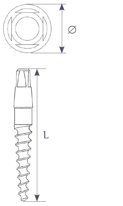 DENTIN Implants Technologies One Piece Dental Implant | SpotImplant