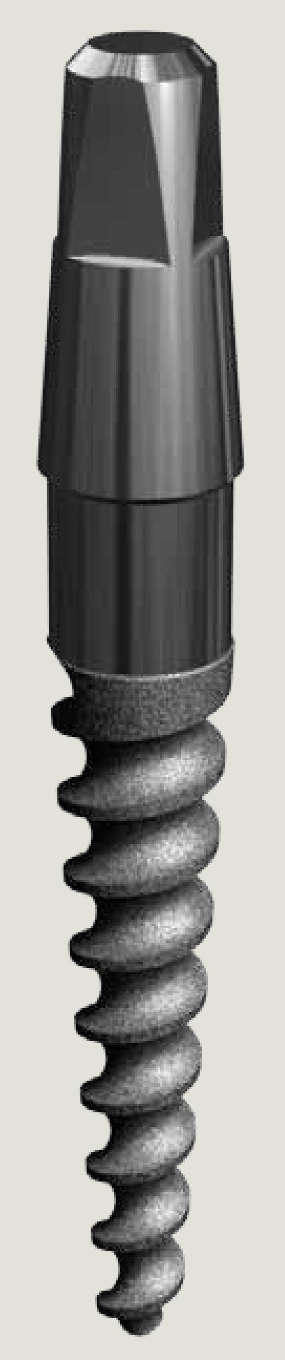 DENTIN Implants Technologies One Piece Dental Implant | SpotImplant