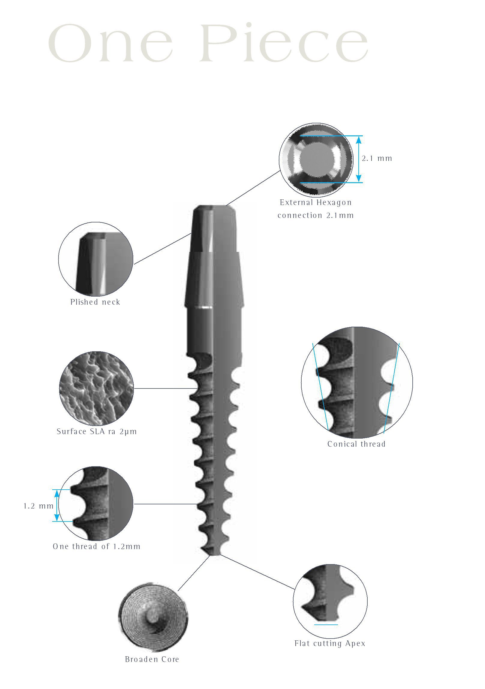 DENTIN Implants Technologies One Piece Dental Implant | SpotImplant