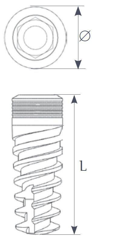 DENTIN Implants Technologies Rapid Dental Implant | SpotImplant