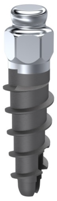 Leader Medica Monophasic Equator Dental Implant | SpotImplant