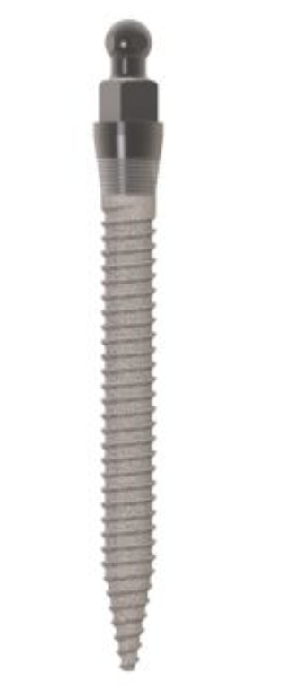 Sterngold MOR Dental Implant | SpotImplant
