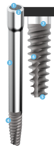 AoN Implants Zygomatic Dental Implant | SpotImplant