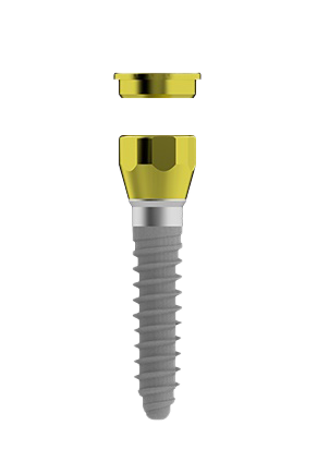 Platon Japan Magfit MIP Dental Implant | SpotImplant