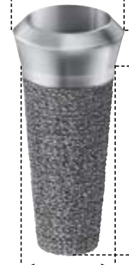 Sybron [Innova] Endopore One Stage Dental Implant | SpotImplant