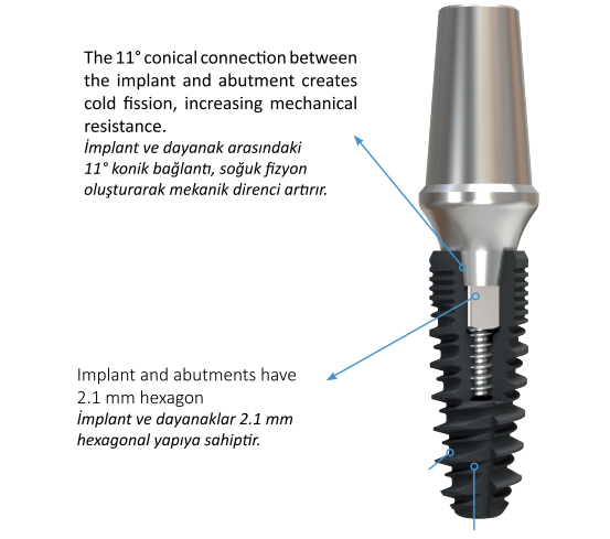 Hadron (İnovamed ) Bone Level Dental Implant | SpotImplant