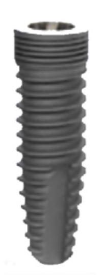 S.I.N Implant System (SIN) Strong SW Interno Implante dental | SpotImplant