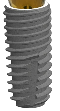 T Plus ST Dental Implant | SpotImplant