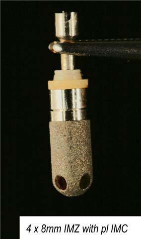 IMZ IMZ Hex Head Implant dentaire | SpotImplant