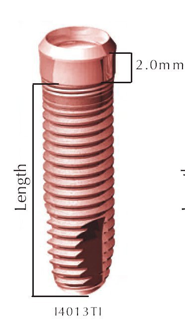 Intra-Lock System International Standard Platform Straight Body Implant ...