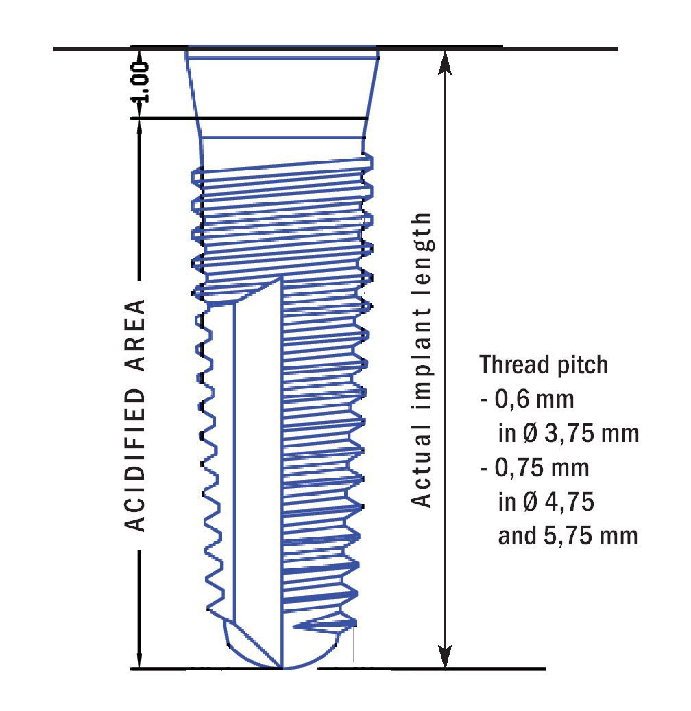 Leader Italia Tapered Implus Internal Hex Narrow Thread Dental Implant ...