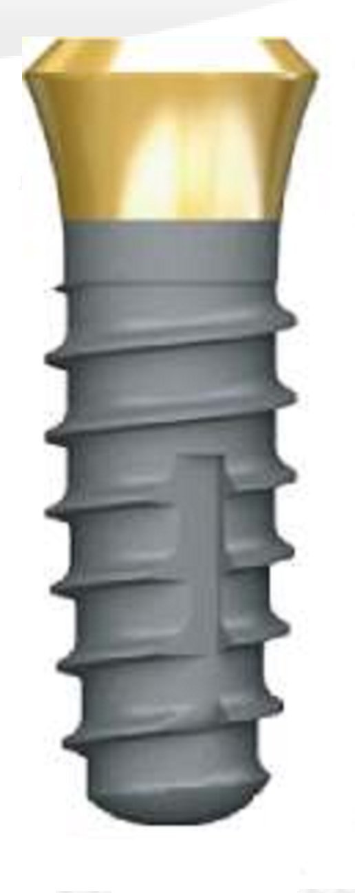 Megagen AnyOne Internal Dental Implant | SpotImplant