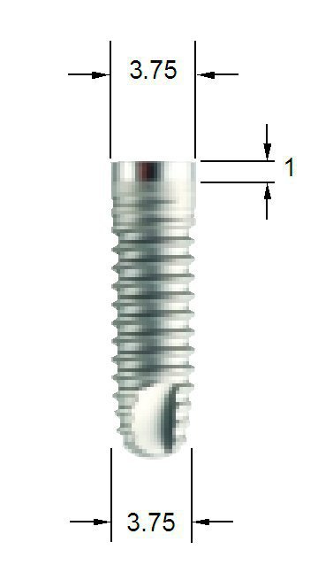 MIS BioCom Internal hex Old Design (M4) Implante dental | SpotImplant