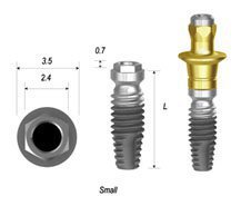Neobiotech Neoplant External Dental Implant | SpotImplant