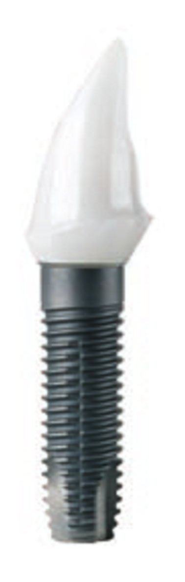 Neoss ProActive Straight Narrow Dental Implant | SpotImplant