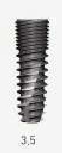 Osstem Implant Company GS III Dental Implant | SpotImplant