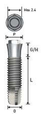 Osstem Implant Company SS Mini External Hex Dental Implant | SpotImplant