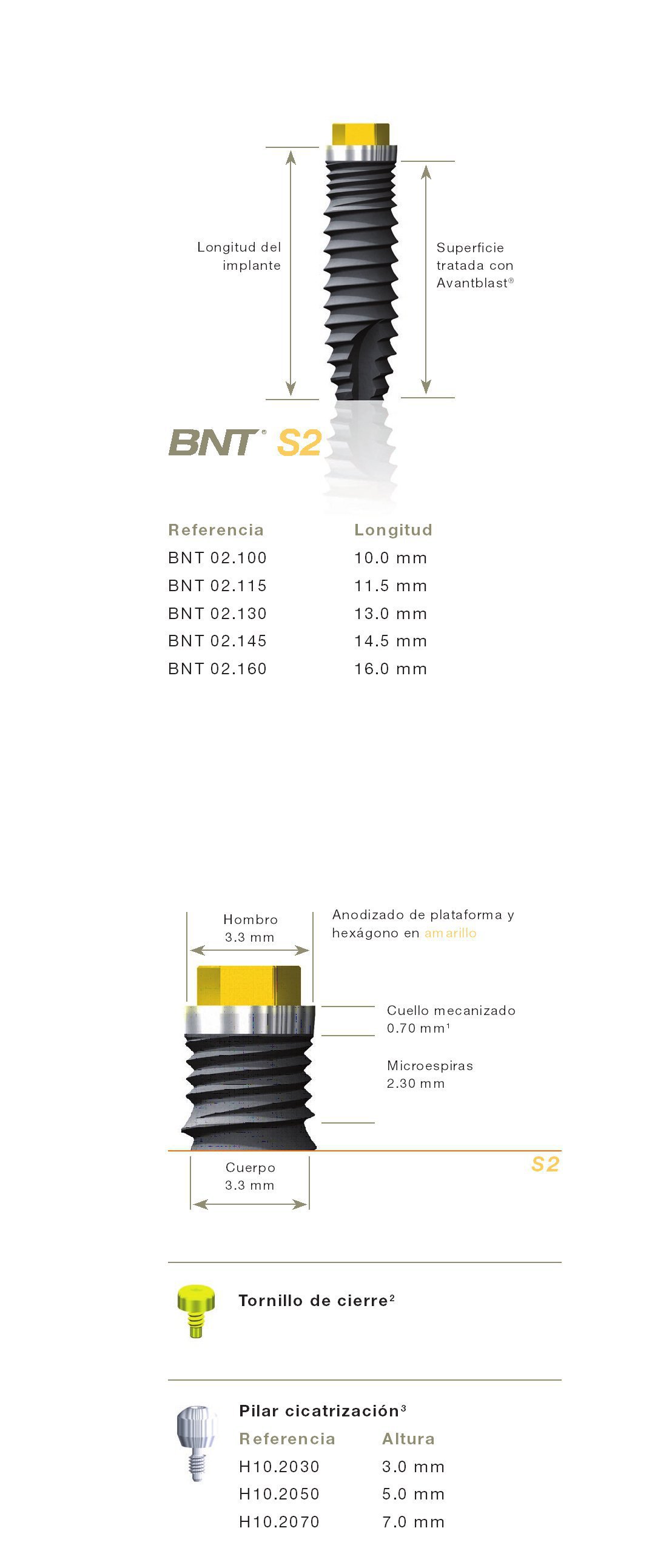 Phibo BNT Implante dentário | SpotImplant