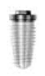 Renew Biocare Re-Root Dental Implant | SpotImplant