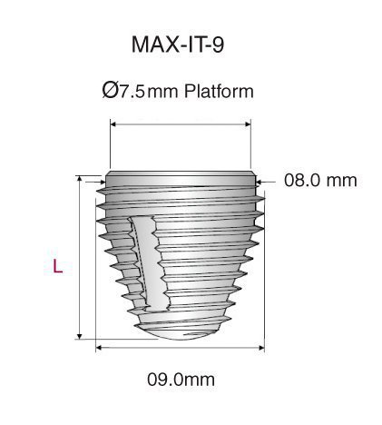 Southern Implants Internal Taper MAXIT Dental Implant | SpotImplant