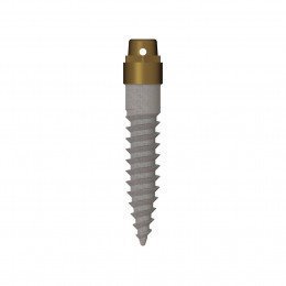 Sterngold ERA Dental Implant | SpotImplant