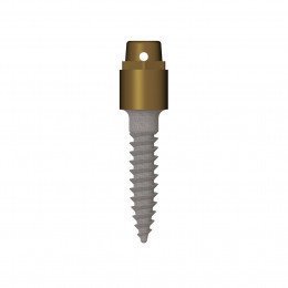 Sterngold ERA Dental Implant | SpotImplant