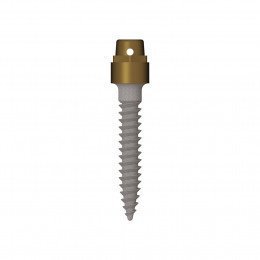 Sterngold ERA Dental Implant | SpotImplant