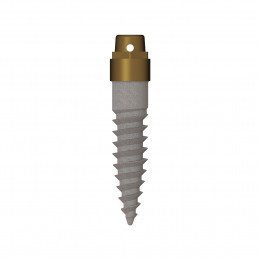 Sterngold ERA Dental Implant | SpotImplant