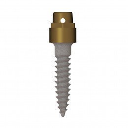 Sterngold ERA Dental Implant | SpotImplant
