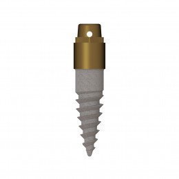Sterngold ERA Dental Implant | SpotImplant