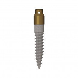 Sterngold ERA Implante dental | SpotImplant