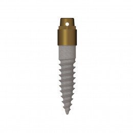 Sterngold ERA Dental Implant | SpotImplant