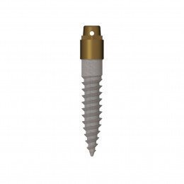 Sterngold ERA Dental Implant | SpotImplant