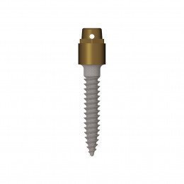 Sterngold ERA Dental Implant | SpotImplant