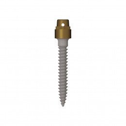 Sterngold ERA Dental Implant | SpotImplant
