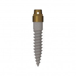 Sterngold ERA Dental Implant | SpotImplant