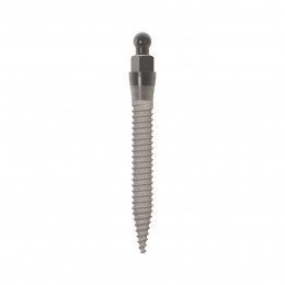 Sterngold MOR Dental Implant | SpotImplant