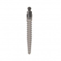 Sterngold MOR Dental Implant | SpotImplant