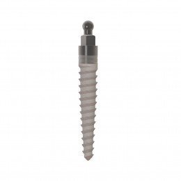 Sterngold MOR Dental Implant | SpotImplant