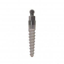 Sterngold MOR Dental Implant | SpotImplant