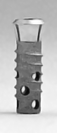 Straumann Hollow Screw Dental Implant | SpotImplant