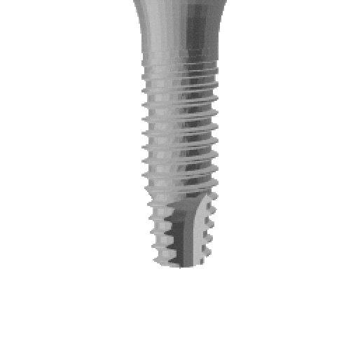 Sweden & Martina Premium Transgingival (TG) Dental Implant | SpotImplant