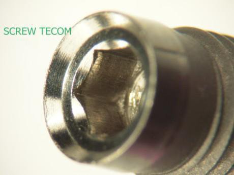Tecom Implantology Screw Straight Dental Implant | SpotImplant