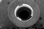 Wieland Dental Wital (wi.tal) Implant dentaire | SpotImplant